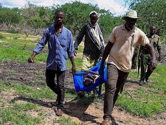 Kenya starvation cult toll climbs to 83 as more bodies found