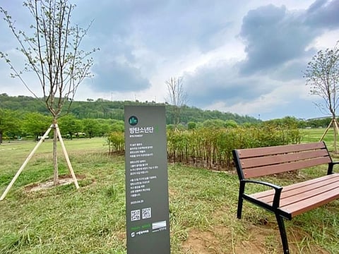 'BTS Forest' created in Seoul's Nanji Park using fan donations, photo ...