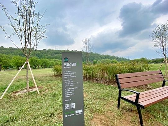 'BTS Forest' created in Seoul's Nanji Park using fan donations, photo ...