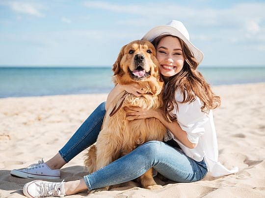 World Veterinary Day: Keep your pets safe this summer