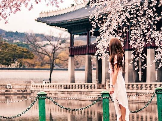 Riding the Hallyu Wave: South Korean tourism head says travellers from ...