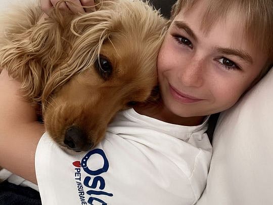 Oslo pet insurance launched in the UAE