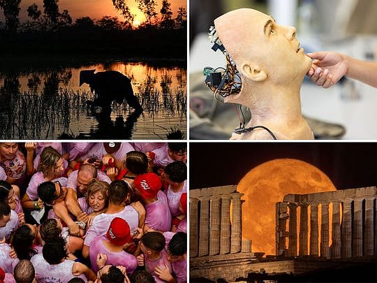 Rice planting at sunrise, AI humanoid robot, full buck super moon and ...