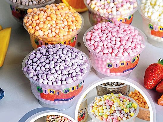 Mini Melts is fulfilling the ice-cream dream