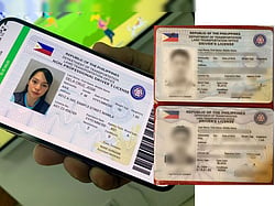 Philippines to issue e-driving licences: What to know