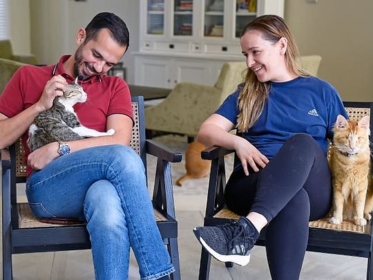 UAE: Dubai expats rescued 1,500 cats - discover their heartwarming story