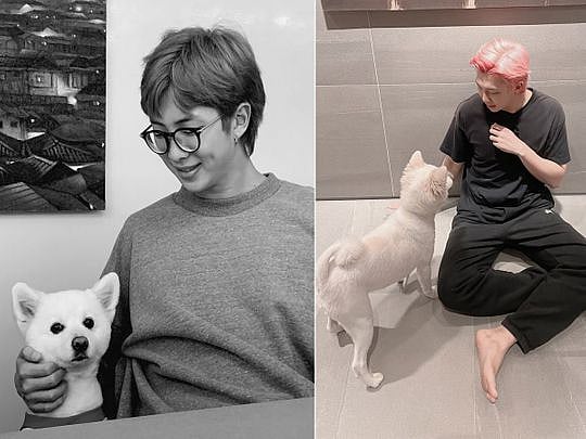 K-pop idol RM mourns death of his pet dog ‘Monie’ in live video, fans ...