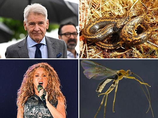 In pictures: Hollywood stars and musicians who have lent their names to ...