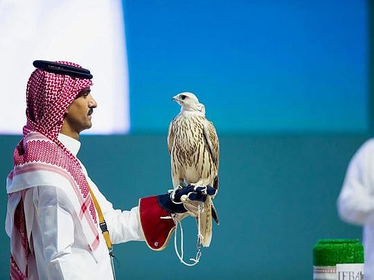 Saudi falcon auction posts SR8 million sales