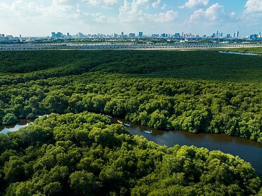 UAE: Major project to double size of Al Zorah nature reserve in Ajman