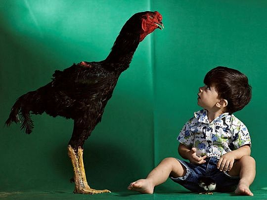Photos: Brazilian farmer's giant rooster hobby hatches into profitable ...