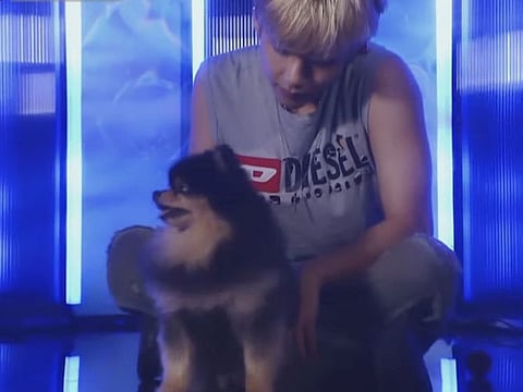 BTS: V’s pet dog Yeontan steals the spotlight on stage, and here’s why ...