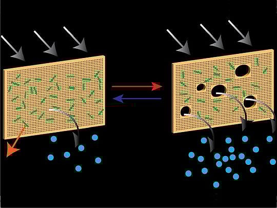 UAE: How self-cleaning membranes boost desalination
