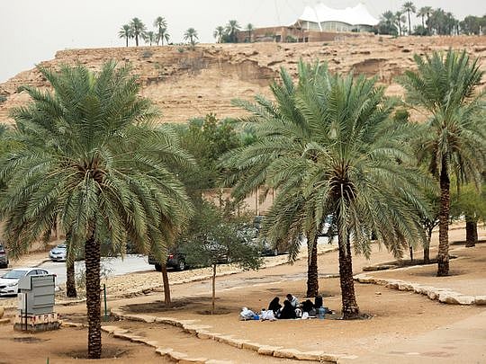Saudi Arabia to plant 10 billion trees in a major step towards ...
