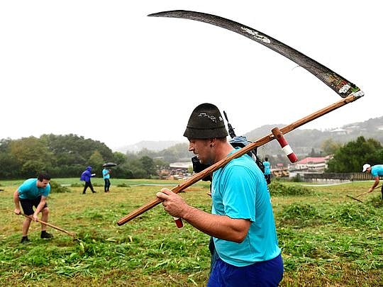 Photos: Austrian reapers competed in scythe grass cutting