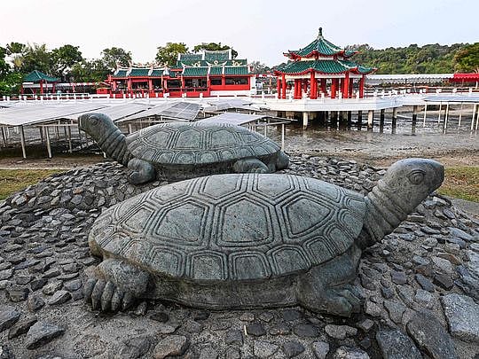 Singapore pilgrims seek divine help at century-old Da Bo Gong Temple