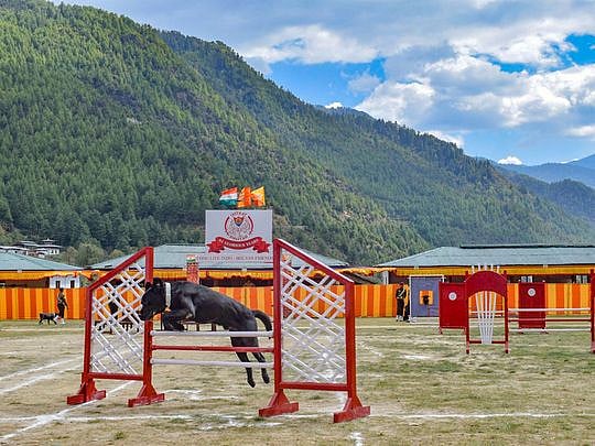 Bhutan becomes first country to declare entire street dogs fully sterilised