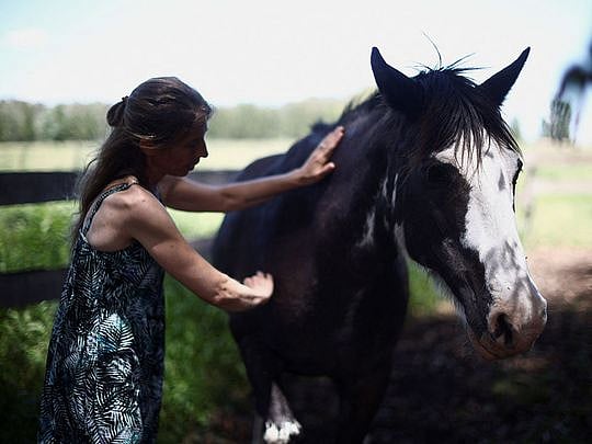Photos: In Argentina, land of the gaucho, a home for unloved old horses