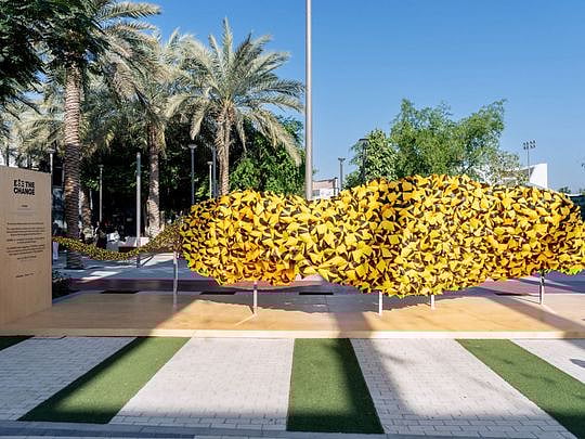 Bee The Change: Expo City Dubai pushes global coalition to save pollinators