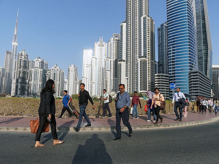 UAE Workforce Grows 12.4% in 2025 Amid Surge in New Companies, Reports ...