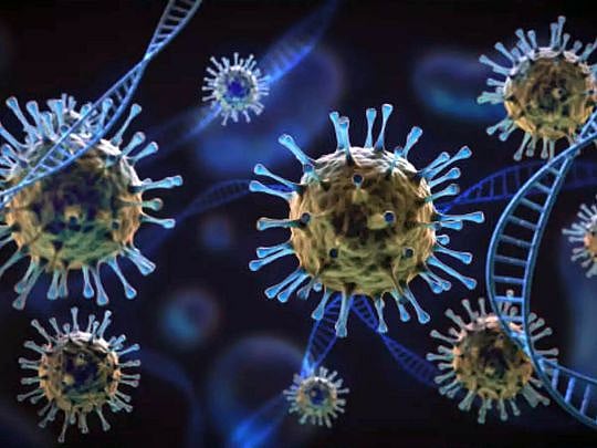 The return of Oropouche virus: All you need to know about it