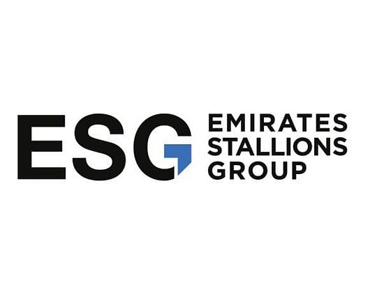 Emirates Stallion Group owned entity takes stake in UAE manpower ...