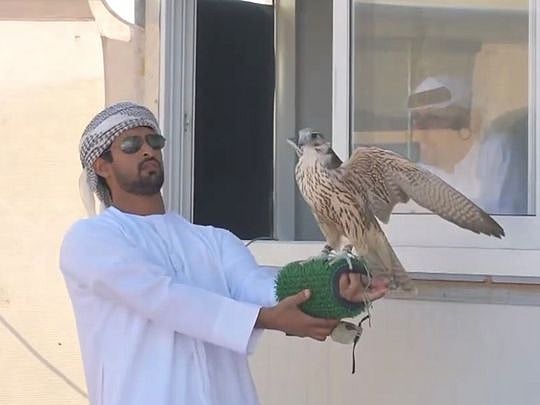 First Ghayathi Falcons Championship kicks off in Abu Dhabi