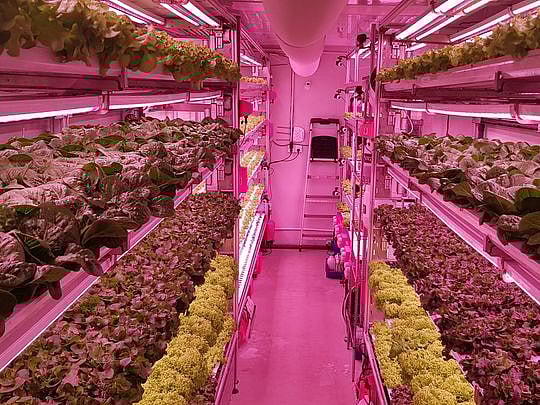 Abu Dhabi’s Masdar City partners with Alesca to tackle climate change