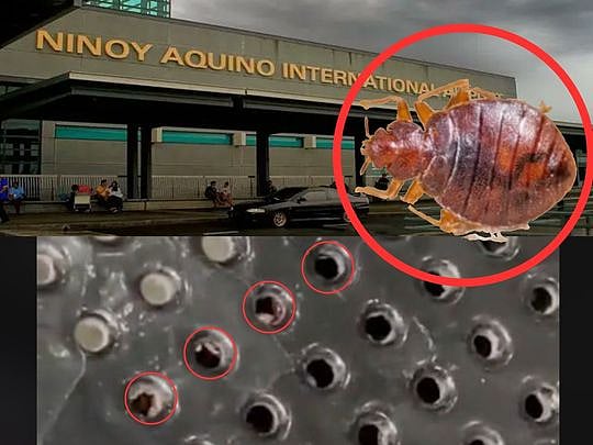 Video: Bed bugs are unwelcome guests at Manila airport