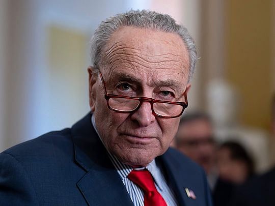 Top US Democrat Chuck Schumer calls for new elections in Israel