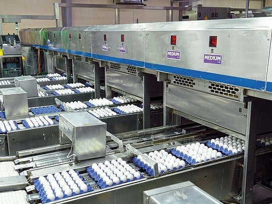 Jenan Eggs – a staple in homes across the UAE