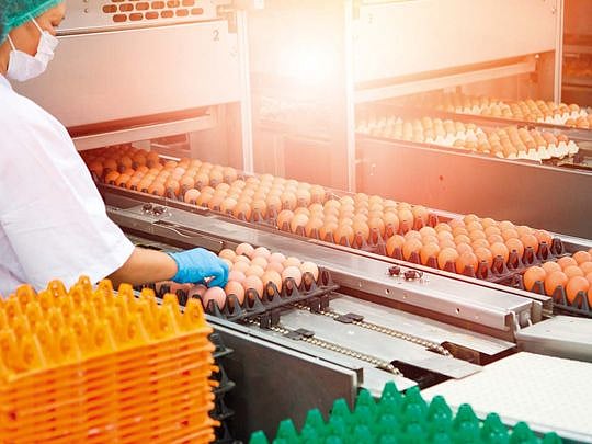 Innovation spurs efficiency and sustainability in the UAE poultry sector