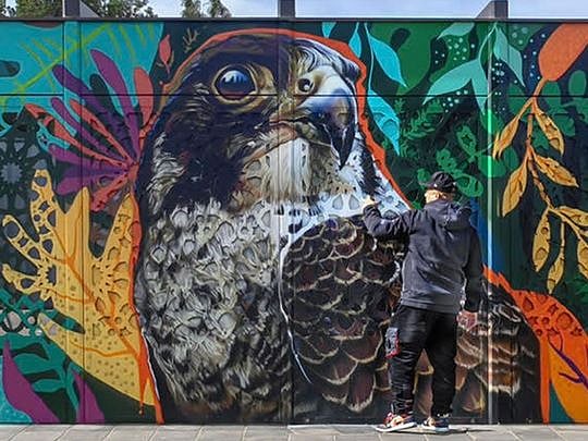 Look: Murals created by Emirati and local artists to adorn Abu Dhabi