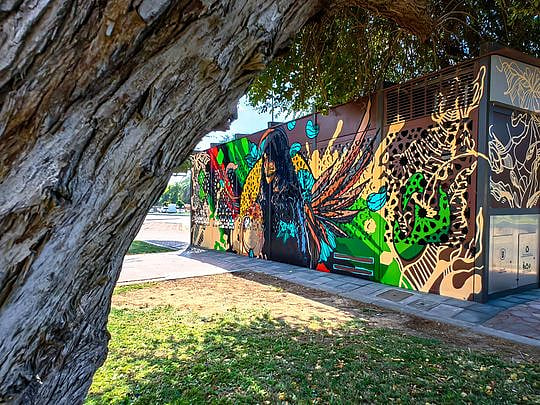 Photos: Abu Dhabi adorns bus stops with vibrant murals and graphics