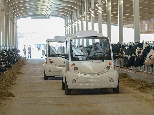 Watch: Sheikh Sultan opens Dh600 million Mleiha Dairy Farm in Sharjah