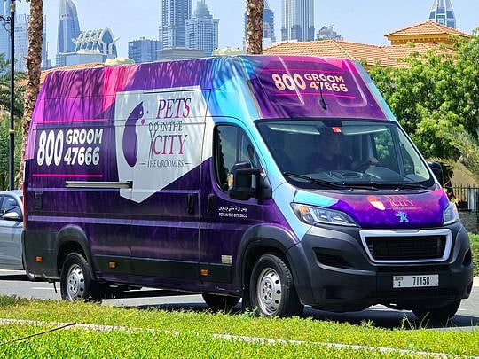 Pets in the City: The rise of pet home services in the UAE