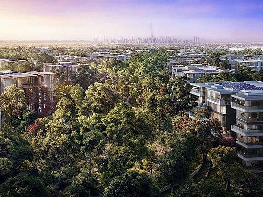 How a Ghaf tree inspires hope and contemplation