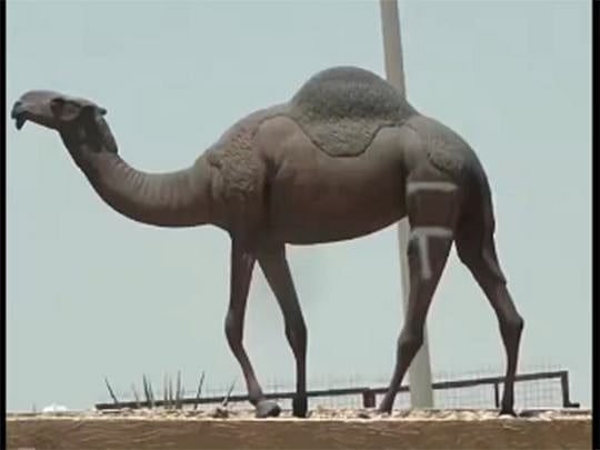 Saudi man jailed for defacing iconic camel statue with spray paint