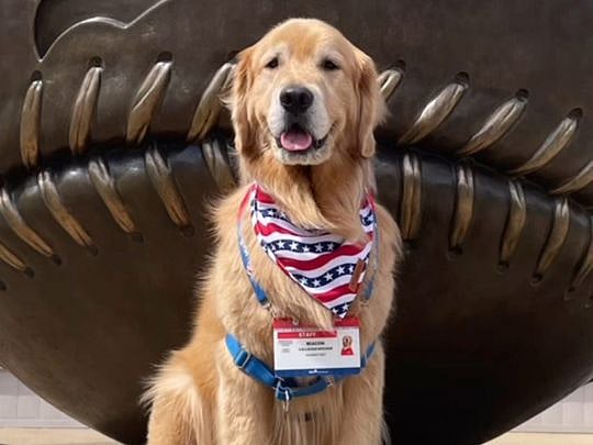 Meet Beacon, the ‘goodest boy’ at the US Olympic gymnastics trials