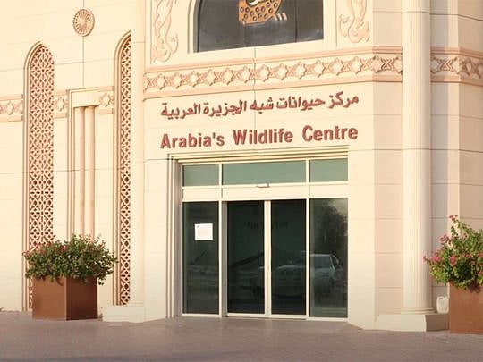 Take a tour of Arabia's Wildlife Centre in Sharjah