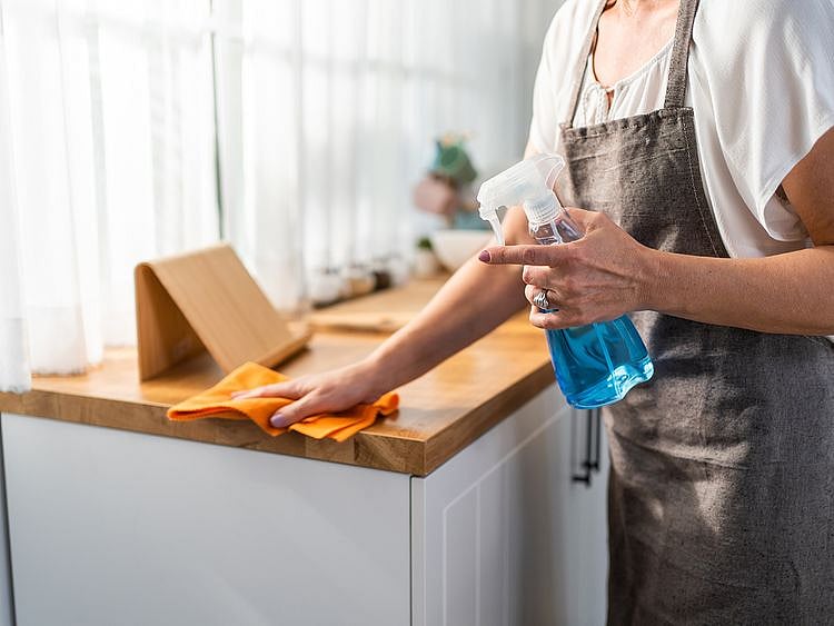 Kuwait exposes scam manipulating domestic help shortage