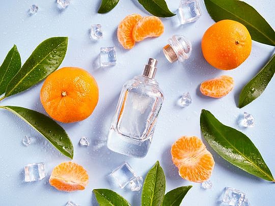 7 best trending citrus perfumes in UAE, for 2024