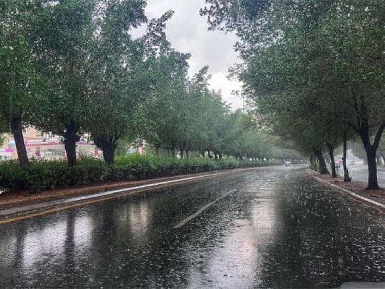 Annual rainfall up 53% in Saudi Arabia