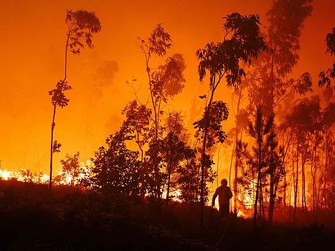 Deadly Portugal wildfires force new evacuations