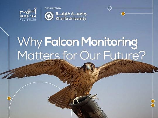 Falcon monitoring challenge unites tech, conservation