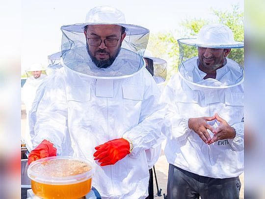 First honey harvested from Sharjah nature reserve in Al Muntathar