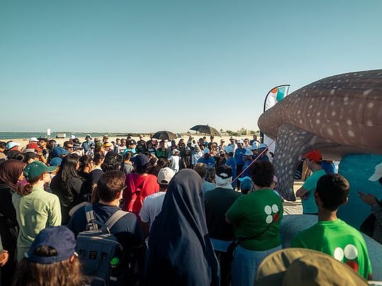 Over 250 participate in beach cleanup hosted by Miral, Yas SeaWorld ...