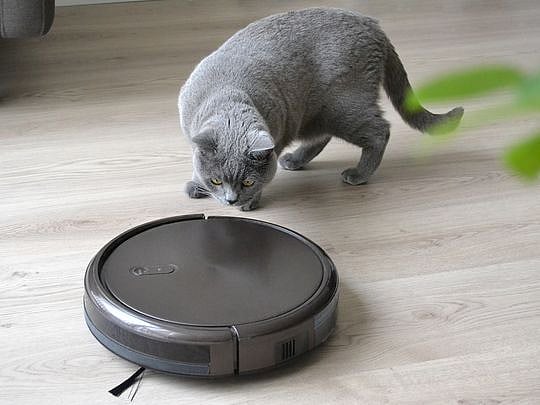 5 Best Robot Vacuum-Mop Combos for Pet Hair in the UAE (2026 Guide)