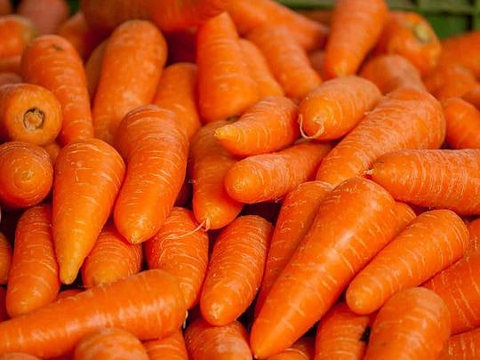 No E. coli contamination in organic carrots in UAE, confirms ministry