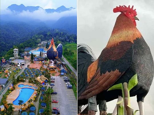 Cluck yeah! World’s biggest chicken hotel fully booked until 2025